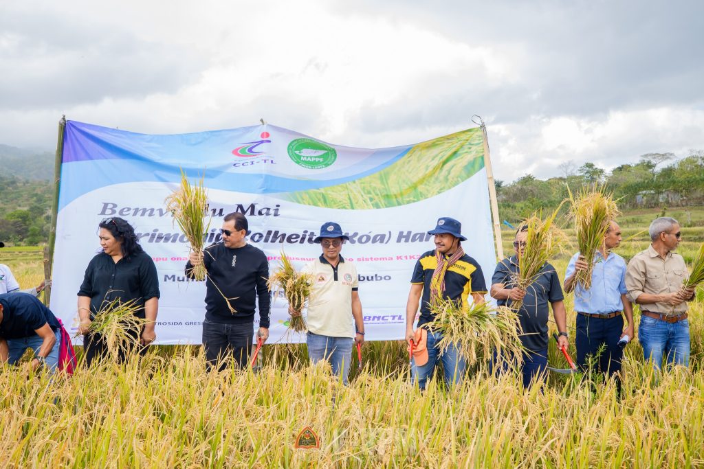 𝐕𝐢𝐬𝐞-𝐏𝐫𝐢𝐦𝐞𝐢𝐫𝐮 𝐌𝐢𝐧𝐢𝐬𝐭𝐫𝐮 𝐇𝐚𝐦𝐮𝐭𝐮𝐤 𝐂𝐂𝐈-𝐓𝐋 𝐊𝐨𝐥𝐥𝐞𝐭𝐚 𝐇𝐚𝐫𝐞 𝐢𝐡𝐚 𝐋𝐮𝐫𝐮 – MDRHC