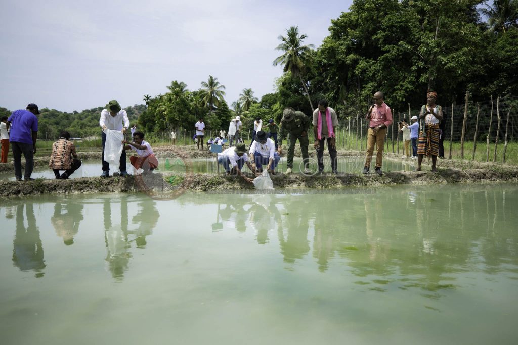 𝐌𝐢𝐧𝐢𝐬𝐭𝐫𝐨 𝐝𝐨 𝐌𝐃𝐑𝐇𝐂 𝐢𝐧𝐚𝐮𝐠𝐮𝐫𝐚 𝐢𝐧𝐯𝐞𝐬𝐭𝐢𝐦𝐞𝐧𝐭𝐨 𝐧𝐚 𝐚́𝐫𝐞𝐚 𝐝𝐞 𝐜𝐫𝐢𝐚𝐜̧𝐚̃𝐨 𝐝𝐞 𝐩𝐞𝐢𝐱𝐞 ...